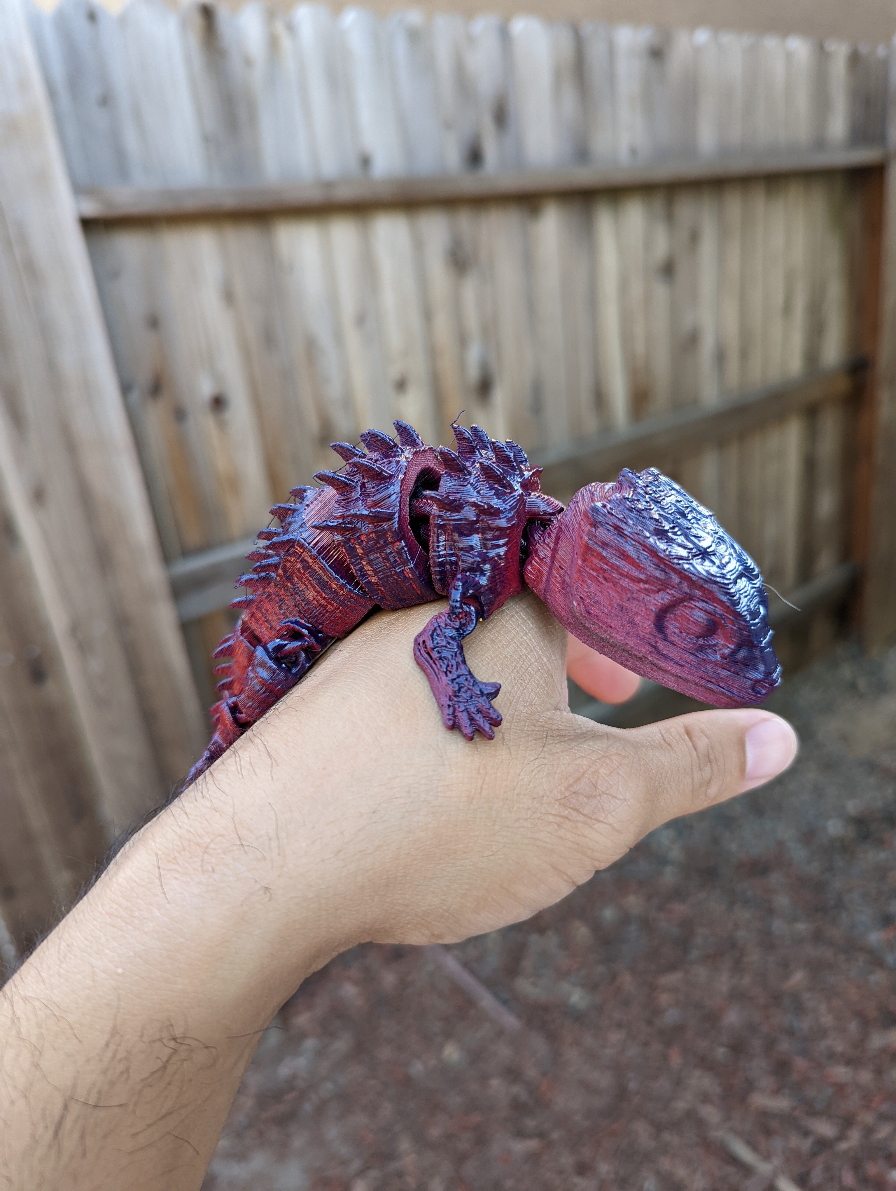 Red Lizard That Looks Like A Dragon
